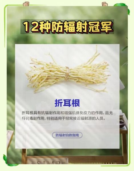 防辐射吃什么好_哪些食物抗辐射最有效-第3张图片-山城妙识 防辐射吃什么好_哪些食物抗辐射最有效-第3张图片-山城妙识