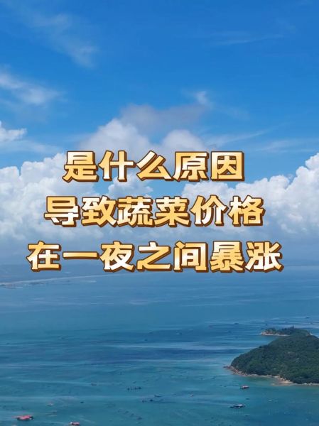 蔬菜价格为什么上涨_未来走势如何-第3张图片-山城妙识 蔬菜价格为什么上涨_未来走势如何-第3张图片-山城妙识