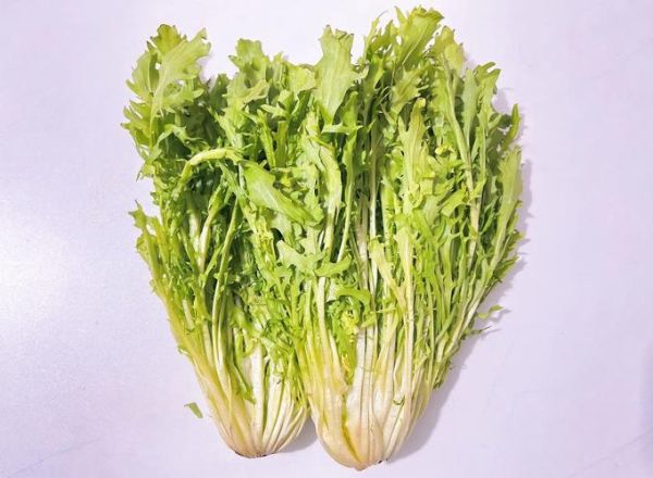 苦苣怎么做好吃_苦苣的营养价值-第3张图片-山城妙识 苦苣怎么做好吃_苦苣的营养价值-第3张图片-山城妙识