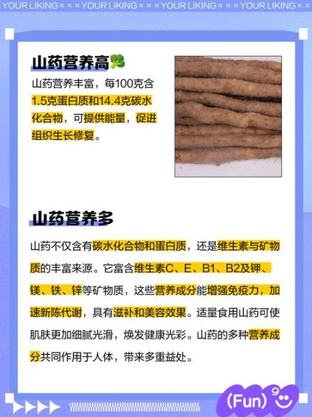 山药有什么营养价值_山药的功效与作用-第3张图片-山城妙识