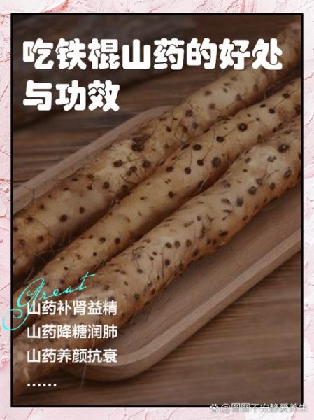 山药有什么营养价值_山药的功效与作用-第1张图片-山城妙识