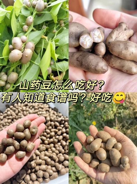 山药豆怎么吃_山药豆用去皮吗-第3张图片-山城妙识