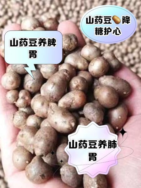 山药豆怎么吃_山药豆用去皮吗-第1张图片-山城妙识