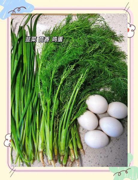 茴香素馅饺子放啥_不放肉也香的秘密-第3张图片-山城妙识