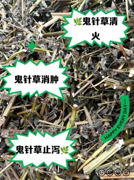 鬼针草泡水喝的功效与作用_鬼针草泡水能天天喝吗-第2张图片-山城妙识