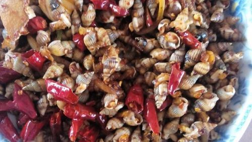 辣炒海丁怎么做_辣炒海丁的家常做法-第1张图片-山城妙识