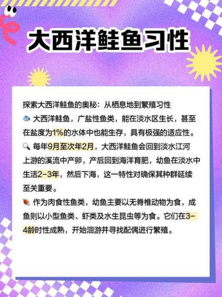 鲑鱼读音怎么读_鲑鱼念gui还是hua-第3张图片-山城妙识