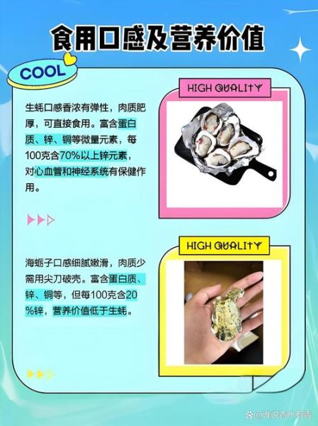 生蚝和牡蛎有什么区别_生蚝和牡蛎哪个更营养-第3张图片-山城妙识