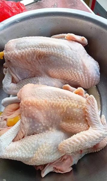 口感最好的土鸡品种_哪种土鸡最好吃-第1张图片-山城妙识