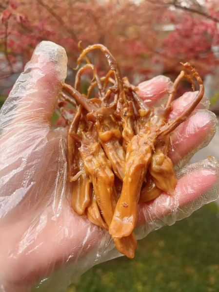 鸭舌为什么这么贵_鸭舌价格高的原因-第1张图片-山城妙识