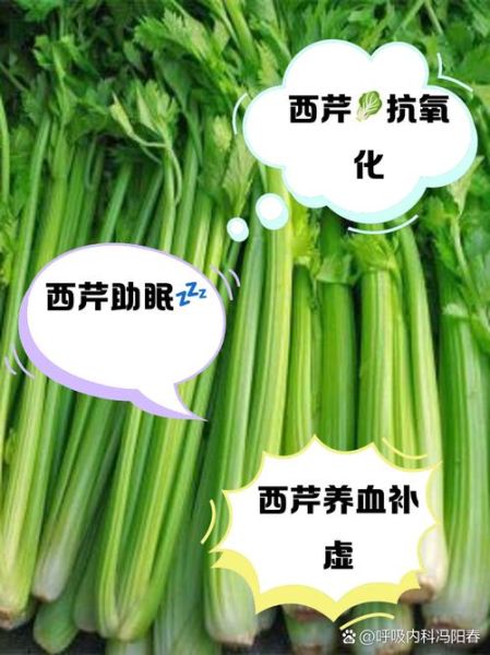 西芹降血压吗_西芹怎么吃最减肥-第1张图片-山城妙识