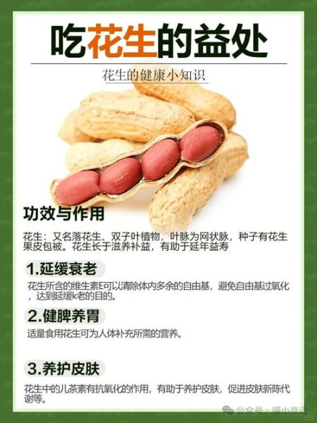 花生有什么好处_花生每天吃多少合适-第1张图片-山城妙识