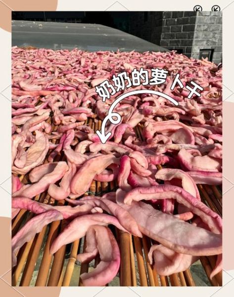 萝卜干怎么做_萝卜干怎么保存-第1张图片-山城妙识