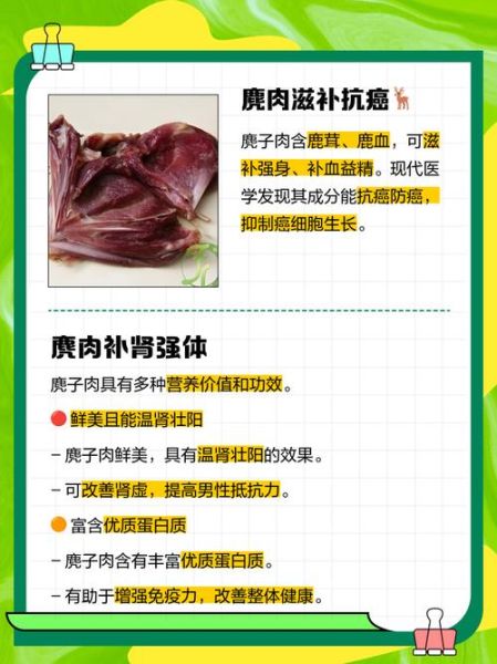 麂肉的功效与禁忌_什么人不能吃麂肉-第2张图片-山城妙识 麂肉的功效与禁忌_什么人不能吃麂肉-第2张图片-山城妙识