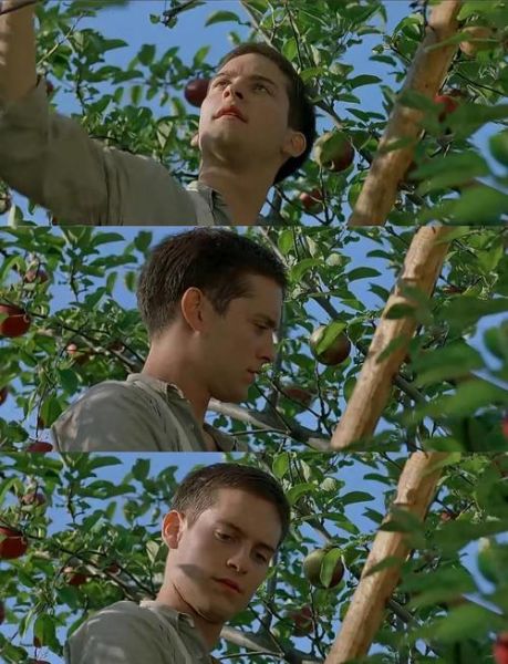 苹果酒屋的规则_豆瓣书评-第3张图片-山城妙识