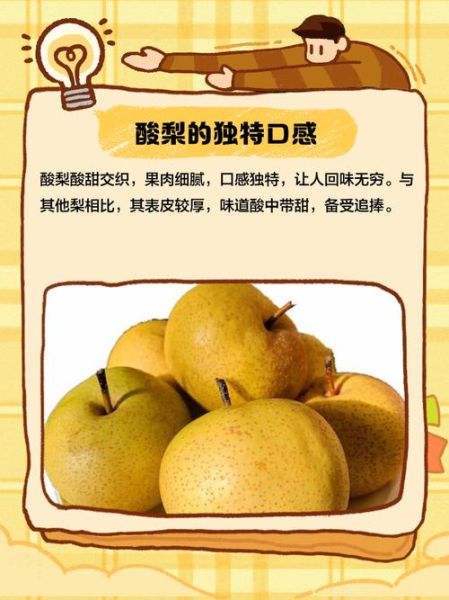 酸梨怎么吃_酸梨的正确吃法-第3张图片-山城妙识