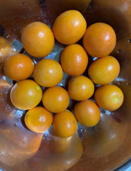 金桔冰糖止咳的做法_金桔冰糖怎么熬止咳效果好-第2张图片-山城妙识