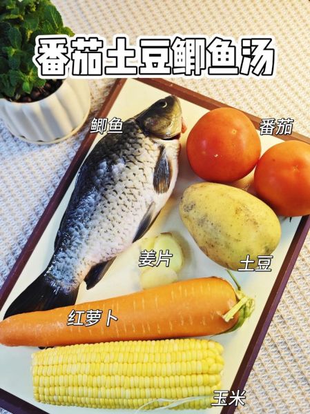 西红柿鲫鱼汤的功效_怎么做最营养-第1张图片-山城妙识