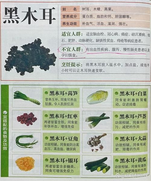 黑木耳的营养价值_黑木耳怎么吃最营养-第1张图片-山城妙识 黑木耳的营养价值_黑木耳怎么吃最营养-第1张图片-山城妙识