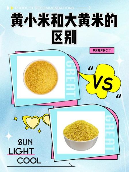 黄米是什么米_黄米和小米的区别-第1张图片-山城妙识 黄米是什么米_黄米和小米的区别-第1张图片-山城妙识
