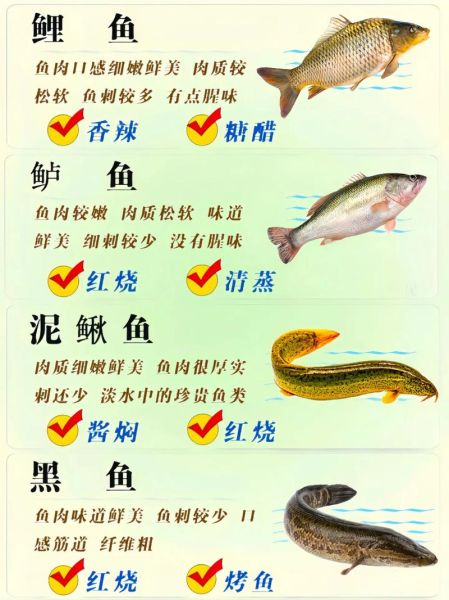 高档淡水鱼养殖品种有哪些_怎么养最赚钱-第1张图片-山城妙识 高档淡水鱼养殖品种有哪些_怎么养最赚钱-第1张图片-山城妙识