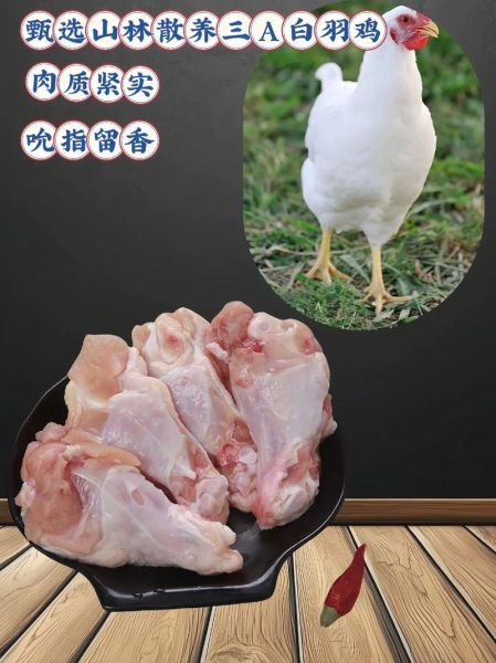 翅根是哪个部位_翅根和翅中区别-第1张图片-山城妙识