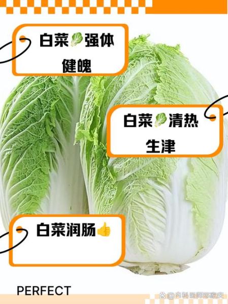 白菜的营养价值及功效_白菜怎么吃最健康-第3张图片-山城妙识
