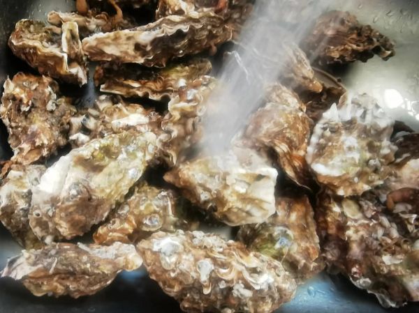 蚵仔煎怎么读台湾话_蚵仔煎台语发音教学-第2张图片-山城妙识