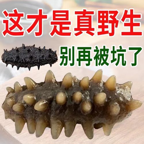 长岛海参价格多少钱一斤_长岛海参价格为什么高-第3张图片-山城妙识