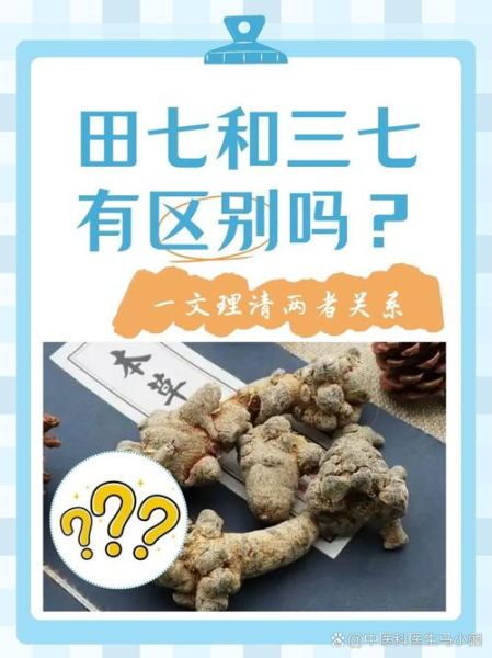 土三七和三七图片对照_怎么一眼区分-第3张图片-山城妙识