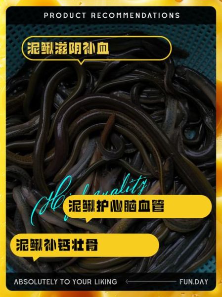家养泥鳅吃什么食物_泥鳅饲料怎么选-第3张图片-山城妙识