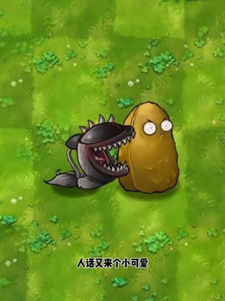 食人花植物大战僵尸怎么打_食人花植物大战僵尸有什么用-第1张图片-山城妙识 食人花植物大战僵尸怎么打_食人花植物大战僵尸有什么用-第1张图片-山城妙识