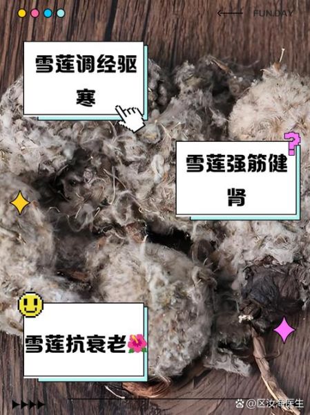 雪莲花泡水喝的功效_雪莲花泡水喝的禁忌-第1张图片-山城妙识 雪莲花泡水喝的功效_雪莲花泡水喝的禁忌-第1张图片-山城妙识