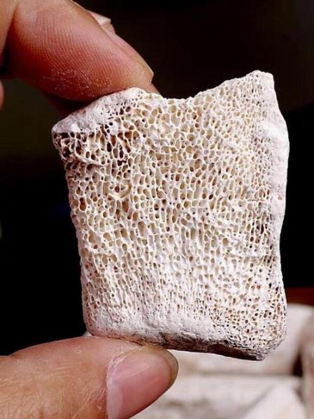 龙骨汤放什么材料好_龙骨汤怎么煲最补钙-第1张图片-山城妙识 龙骨汤放什么材料好_龙骨汤怎么煲最补钙-第1张图片-山城妙识