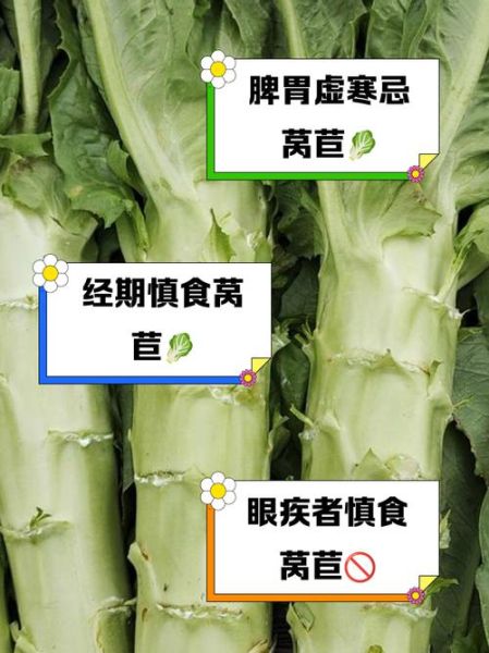 莴苣的功效与作用禁忌_哪些人不能吃莴苣-第1张图片-山城妙识