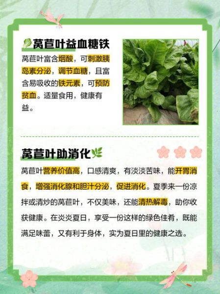 莴苣的功效与作用禁忌_哪些人不能吃莴苣-第3张图片-山城妙识