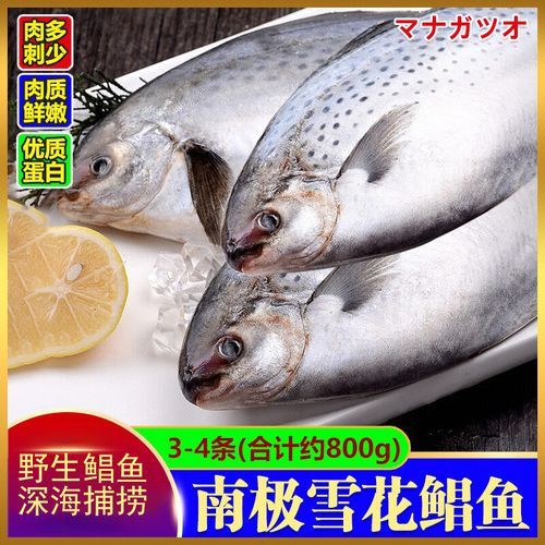 雪花鲳鱼多少钱一斤_雪花鲳鱼价格行情-第2张图片-山城妙识