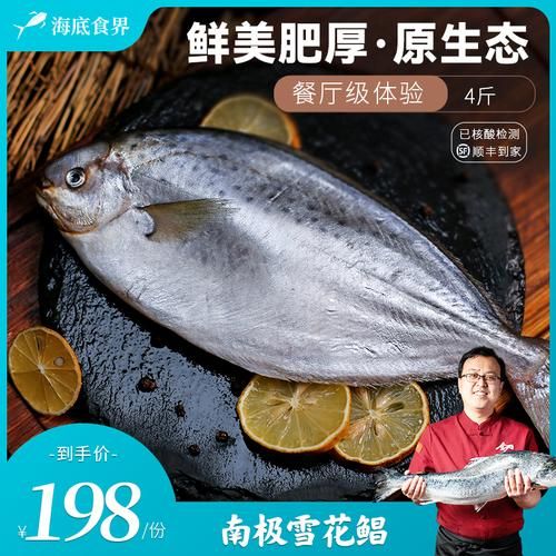 雪花鲳鱼多少钱一斤_雪花鲳鱼价格行情-第3张图片-山城妙识