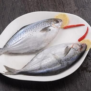 雪花鲳鱼多少钱一斤_雪花鲳鱼价格行情-第1张图片-山城妙识