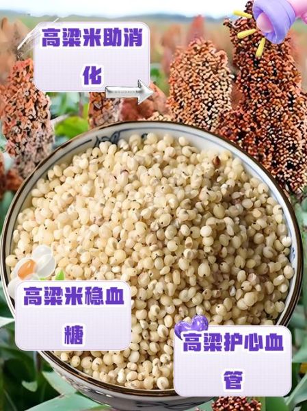 高粱米怎么做好吃_高粱米适合什么人吃-第1张图片-山城妙识