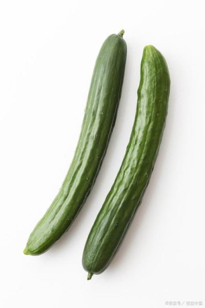 青瓜图片大全_青瓜高清图片怎么找-第1张图片-山城妙识