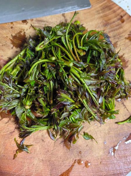 香椿芽炒鸡蛋不焯水可以吗_香椿芽炒鸡蛋要不要焯水-第1张图片-山城妙识