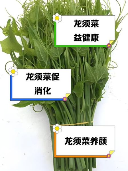 龙须菜的营养价值及功效与作用_龙须菜怎么吃最健康-第1张图片-山城妙识