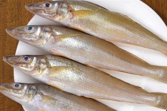 丁香鱼是什么鱼_丁香鱼产地在哪里-第1张图片-山城妙识