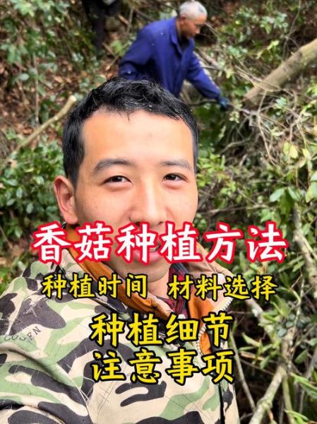 香菇种植技术培训哪里好_如何选择靠谱机构-第2张图片-山城妙识