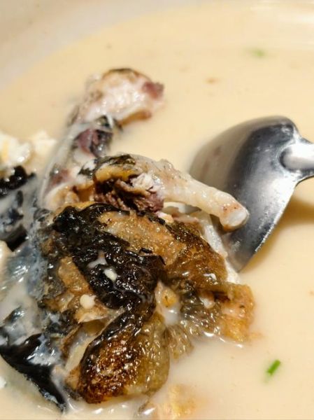 鸦片鱼头炖汤怎么做_鸦片鱼头汤的家常做法-第3张图片-山城妙识 鸦片鱼头炖汤怎么做_鸦片鱼头汤的家常做法-第3张图片-山城妙识