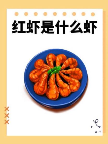 红虾的营养价值_红虾的功效与作用-第2张图片-山城妙识 红虾的营养价值_红虾的功效与作用-第2张图片-山城妙识