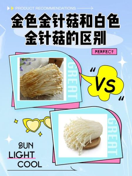 金针菇不能和什么一起吃_金针菇相克食物有哪些-第2张图片-山城妙识