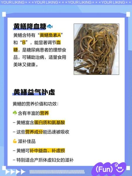 黄鳝的营养价值有哪些_黄鳝的功效与作用是什么-第1张图片-山城妙识