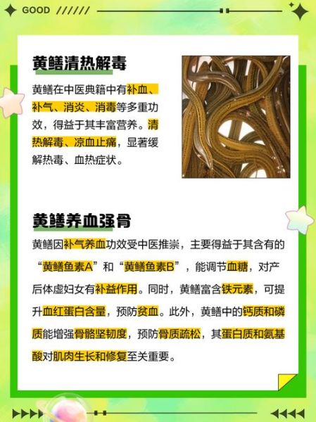 黄鳝的营养价值有哪些_黄鳝的功效与作用是什么-第3张图片-山城妙识